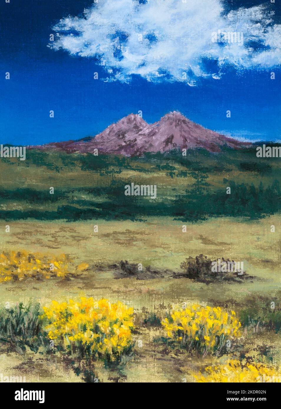 Pastel on canvas hi-res stock photography and images - Alamy