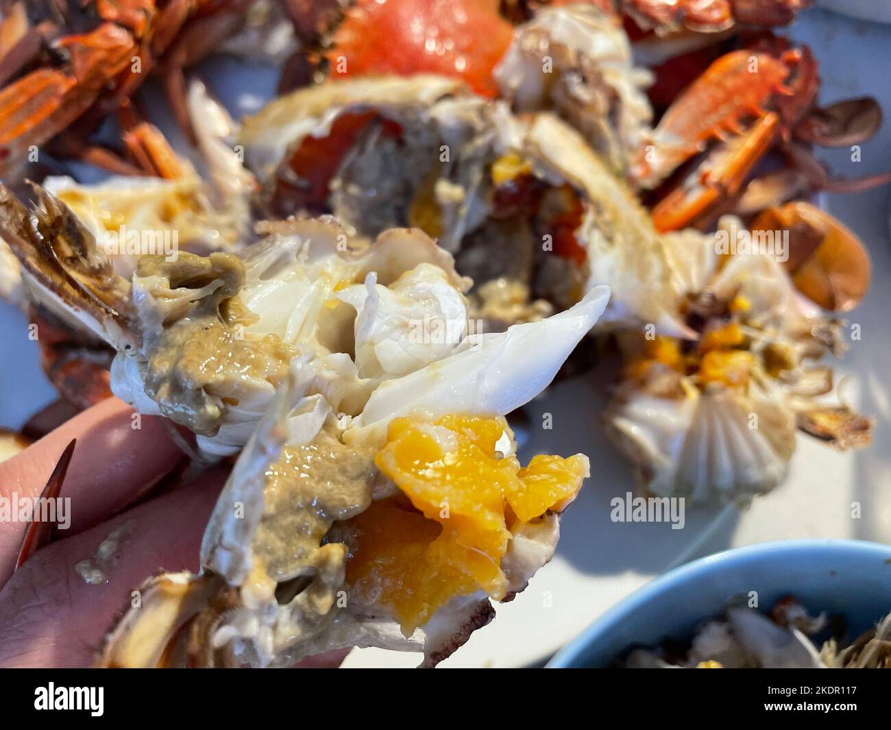 Cooked Crab on Server board Stock Photo - Alamy