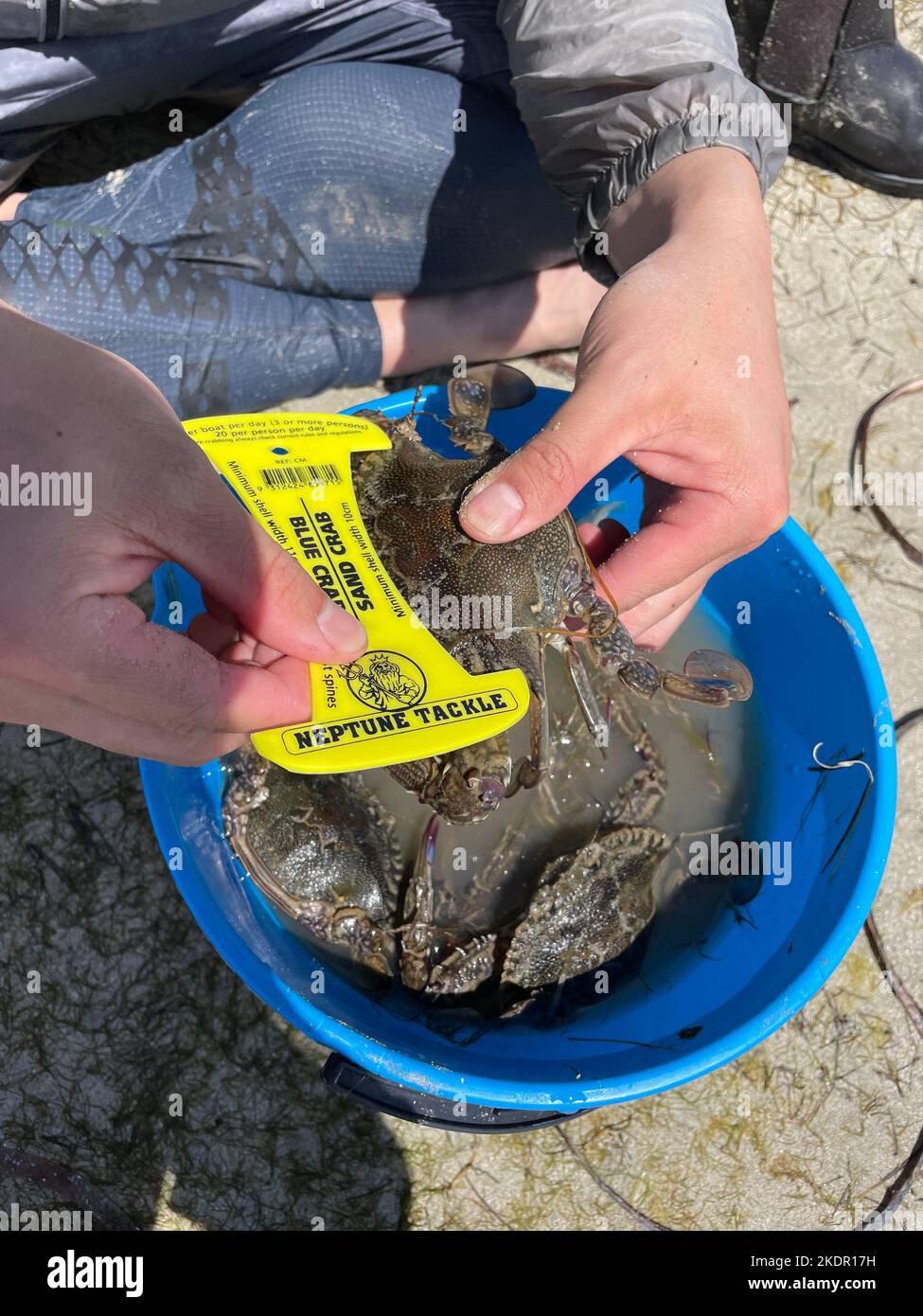 Red crab trap hi-res stock photography and images - Alamy
