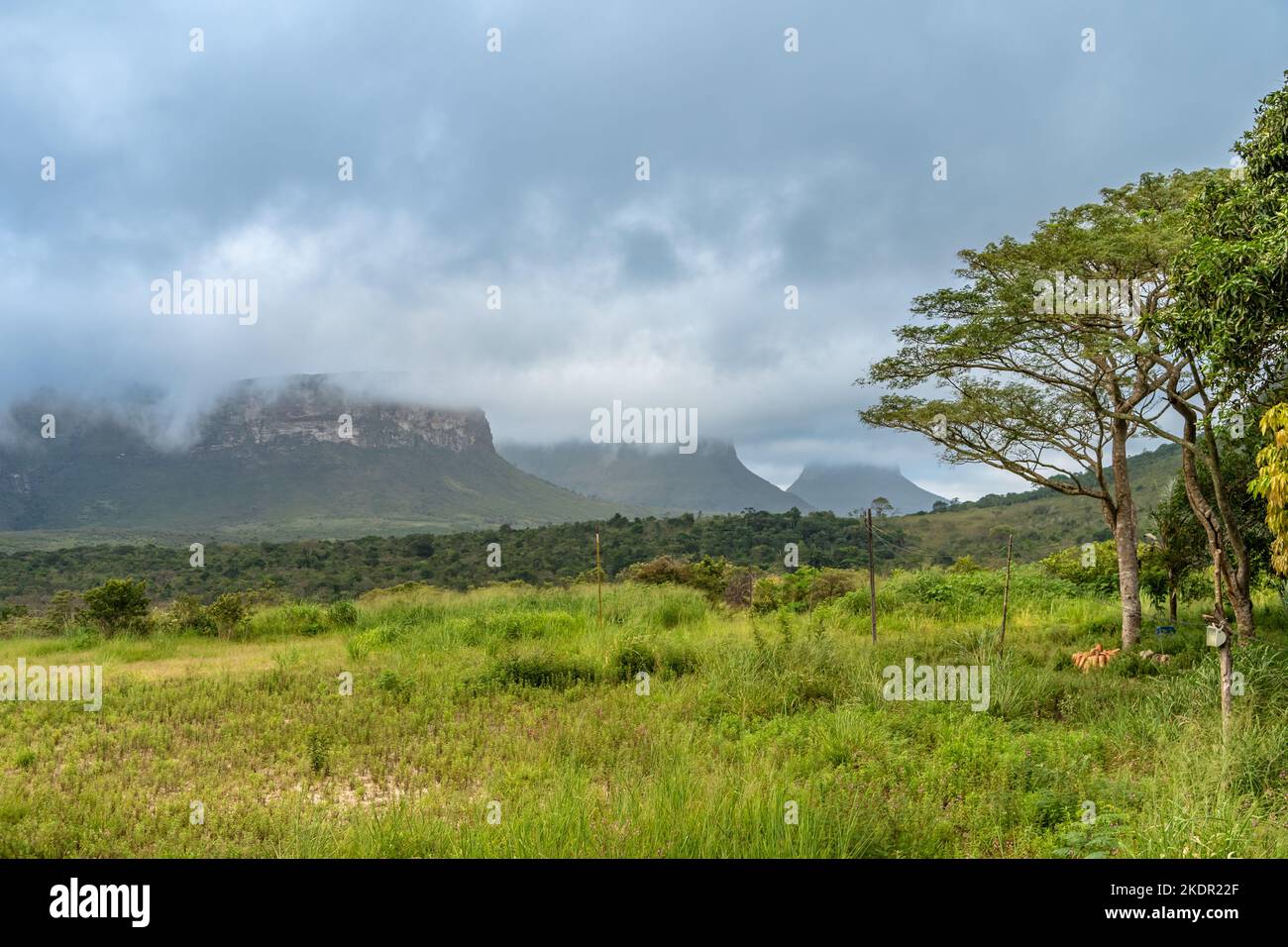 National park Chapada Diamantina, Brazil Stock Photo - Alamy