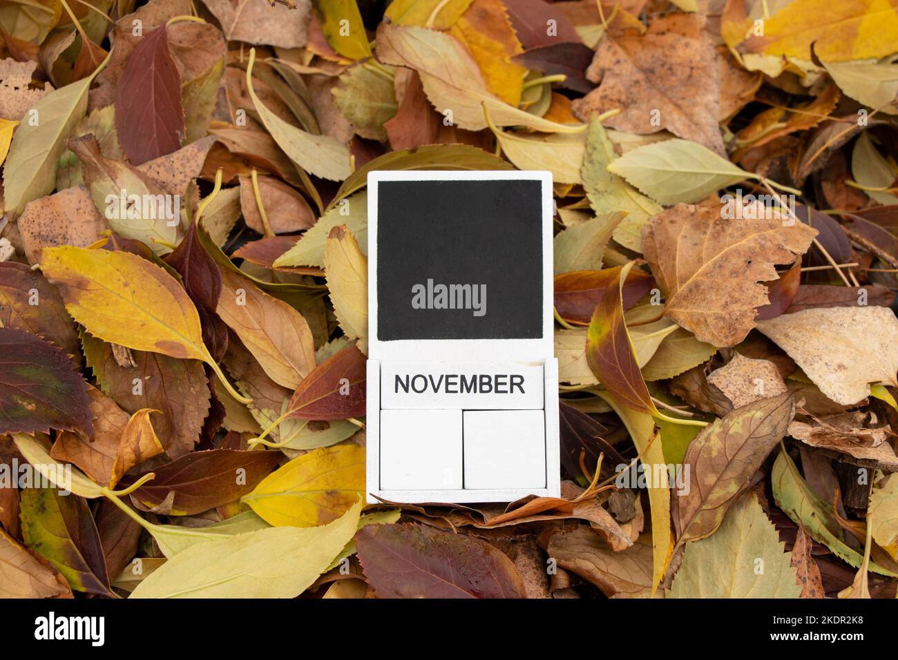 A wooden calendar with cubes and the name of the month of November lies ...