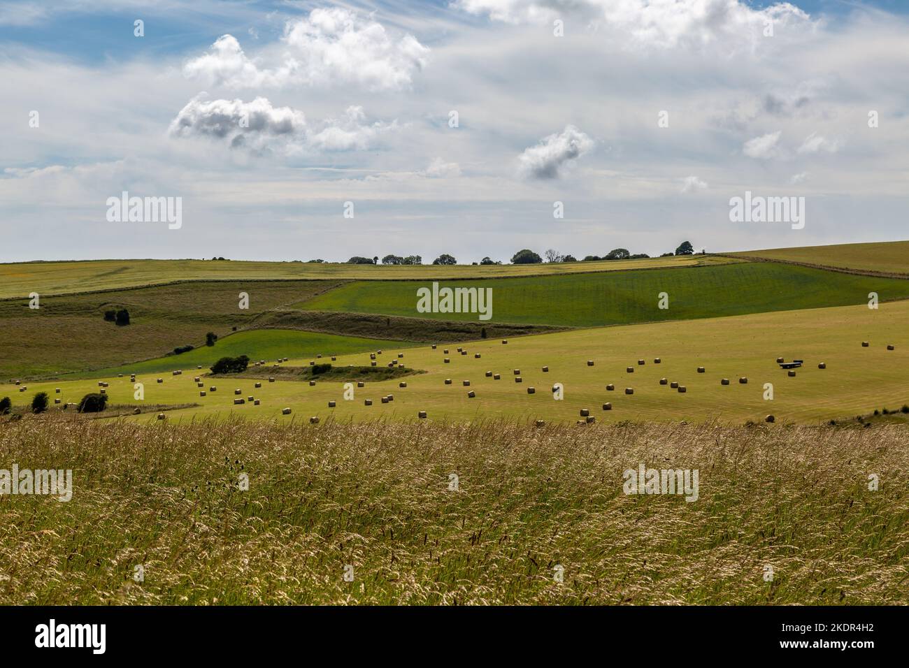 A rural South Downs landscape with hay bales in a field at harvest time ...