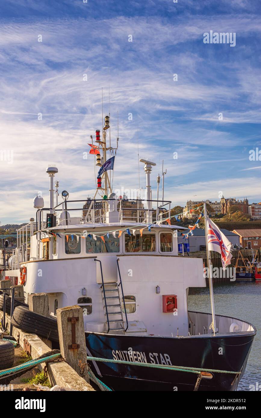 A ship decorated with bunting is moored in harbour. Buildings are on ...