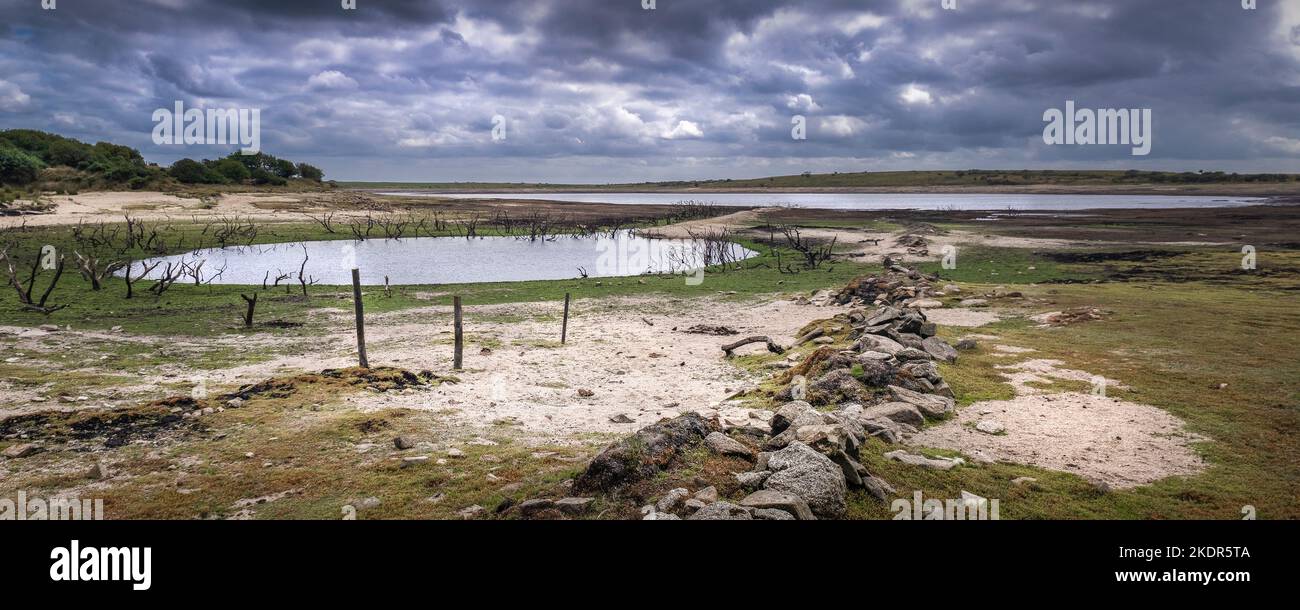 A panoramic image of the remains of old dead trees around a man-made ...