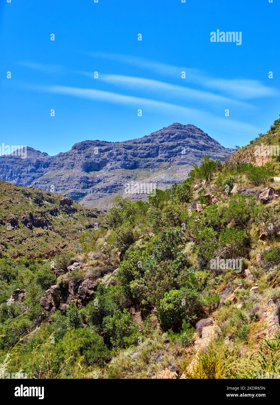 Landscape in Cederberg nature reserve, South Africa Stock Photo - Alamy