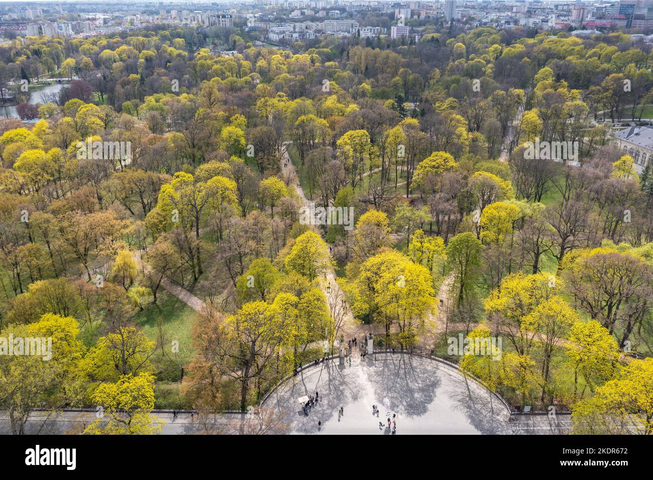 Trees in Lazienkowski Park also called Lazienki Park - Royal Baths ...