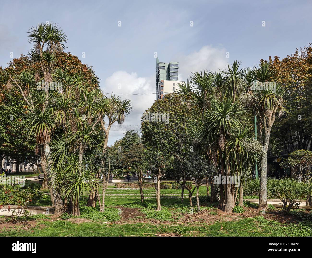 Armada way plymouth tree hi-res stock photography and images - Alamy