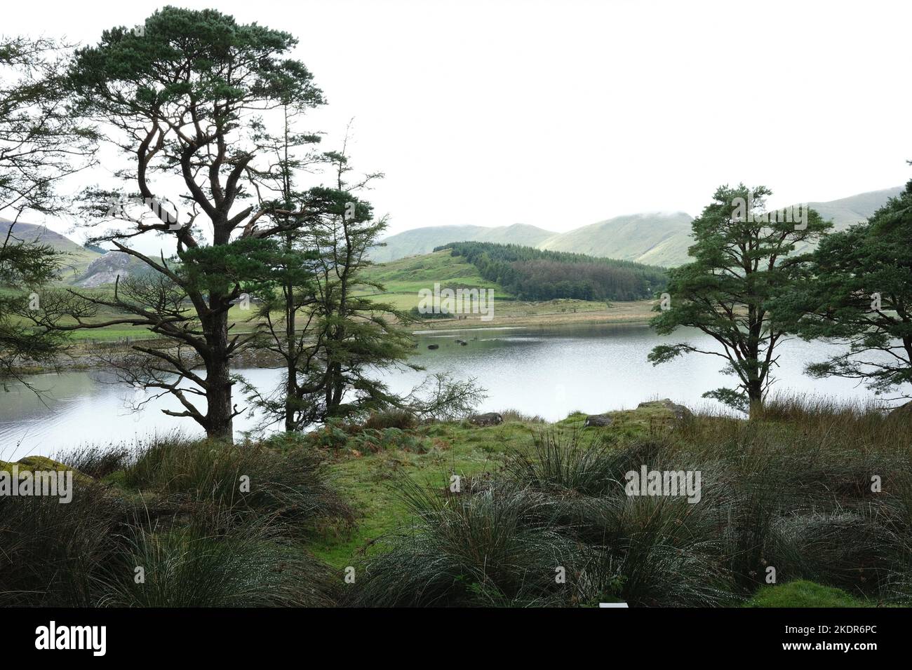 Structurally tasteful hi-res stock photography and images - Alamy