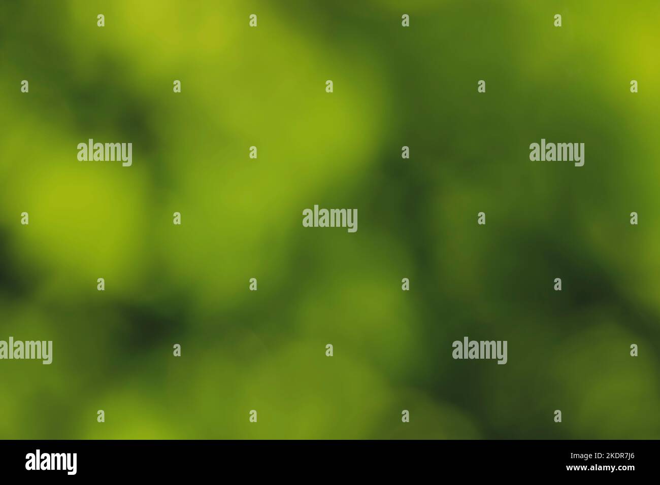 Abstract green blurred background and sunlight Stock Photo - Alamy