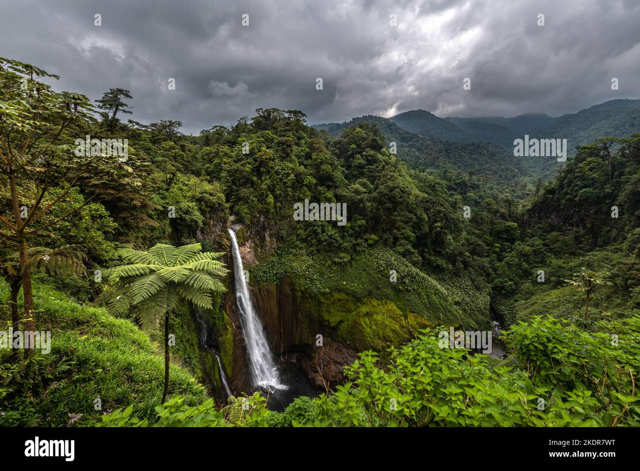 Jungle Water Fall Stock Photo - Alamy