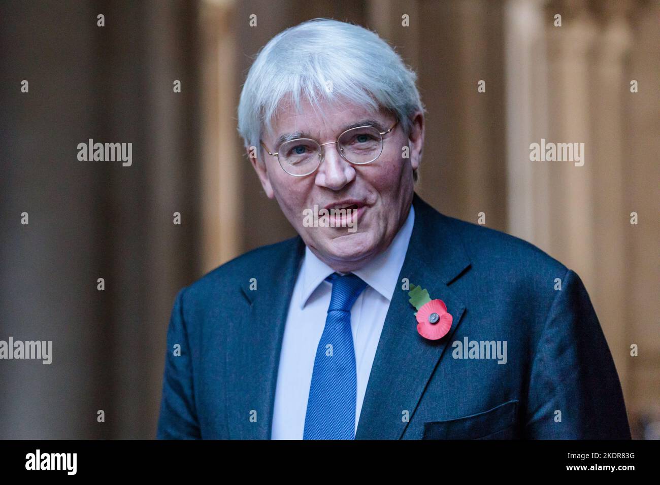 Downing Street, London, UK. 8th November 2022. Andrew Mitchell MP ...
