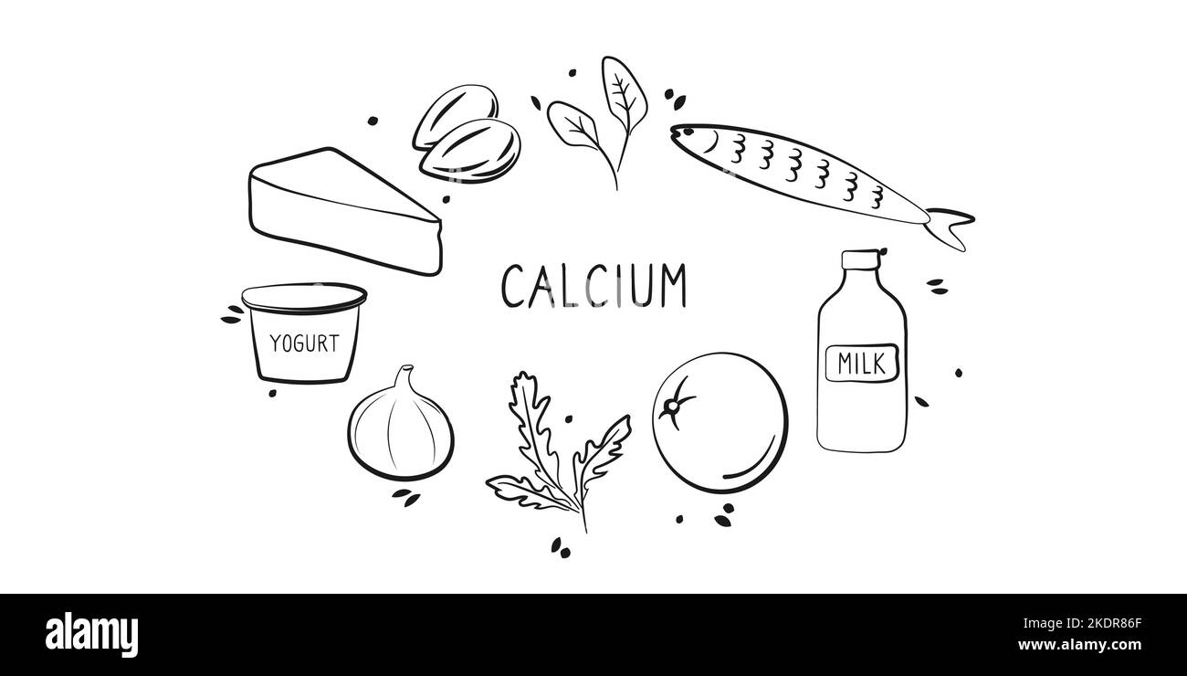 Calcium-containing food. Groups of healthy products containing vitamins ...