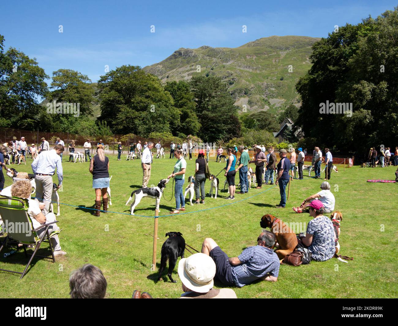 Patterday Country & Dog Fair, Dog show and competition Stock Photo - Alamy