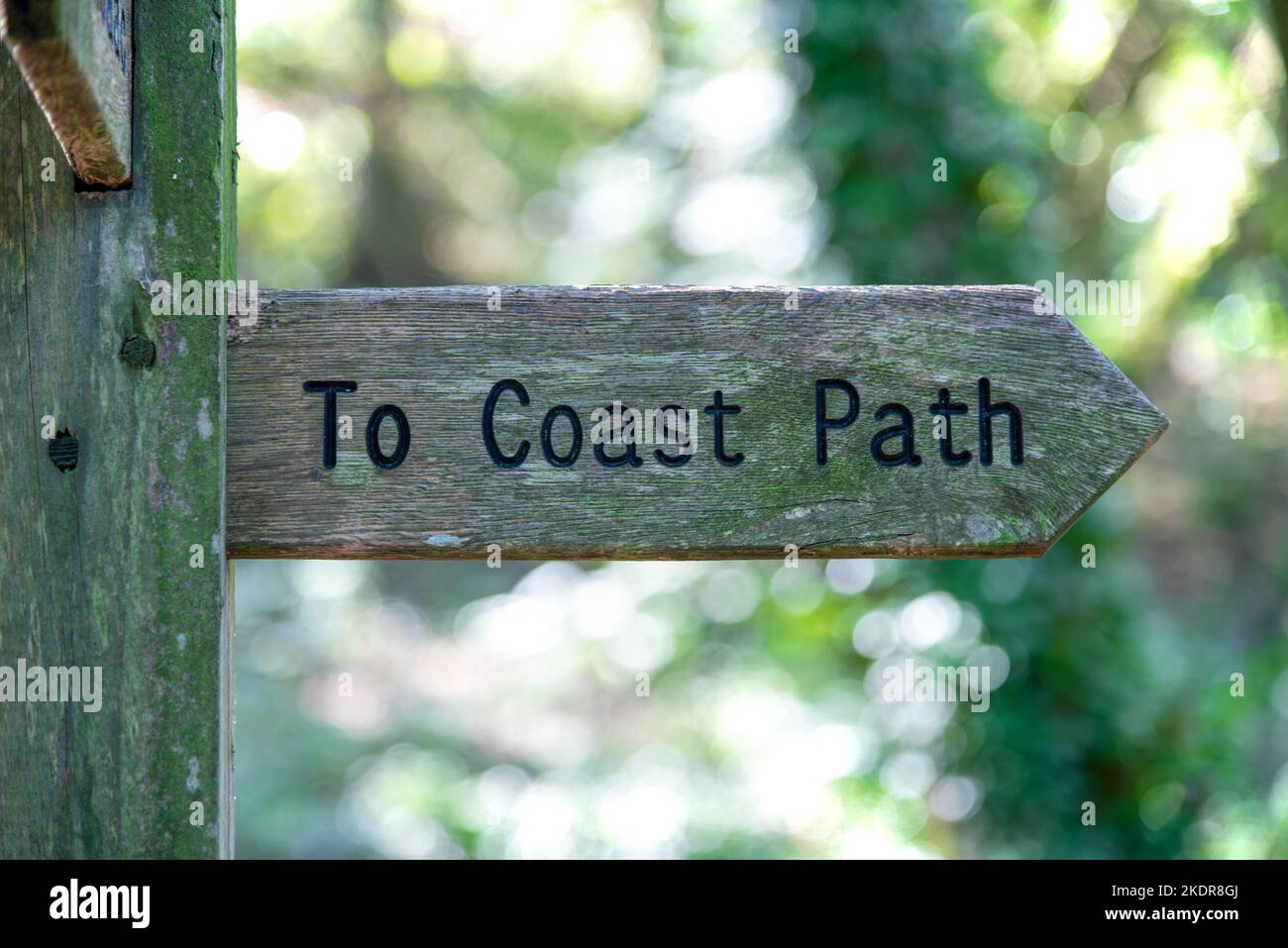 Wooden sign "To Coast Path" near Port Isaac in northern Cornwall, UK ...