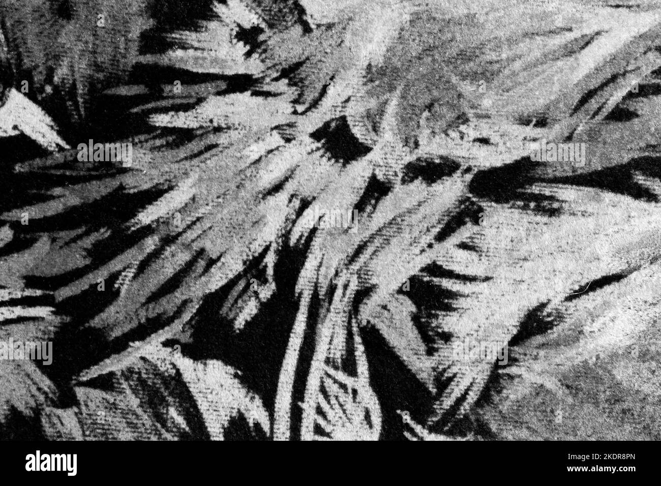 Abstract Old Vintage Pattern Fabric Color Black And White Grey ...