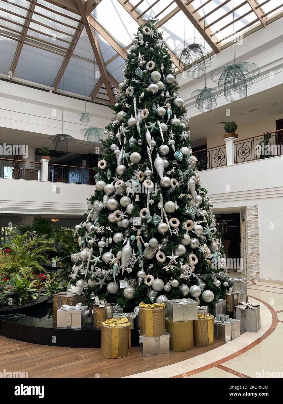View of a tall Christmas tree beautifully decorated with many presents ...