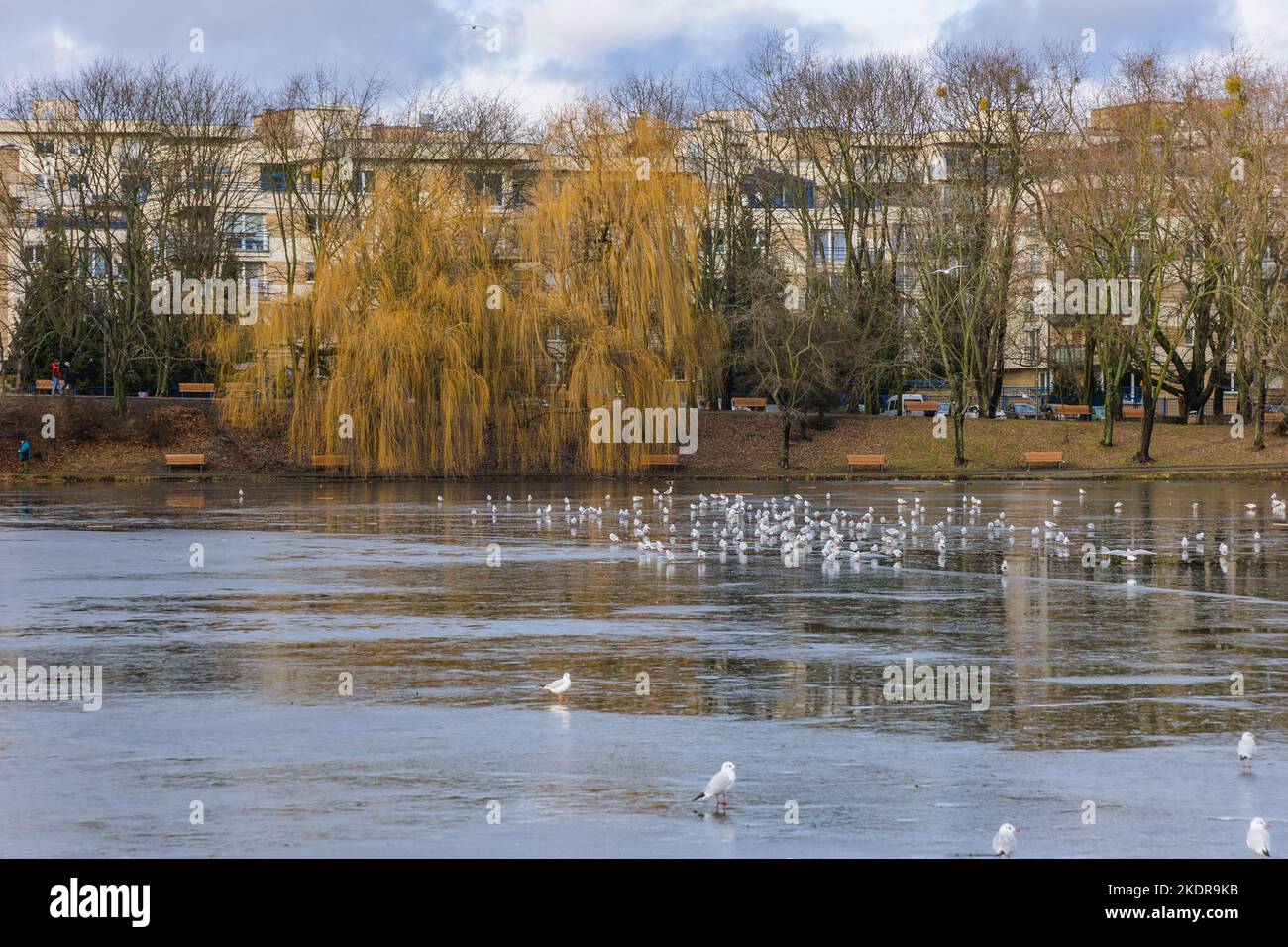 Clay pit pond in Szczesliwicki Park in Ochota district of Warsaw ...