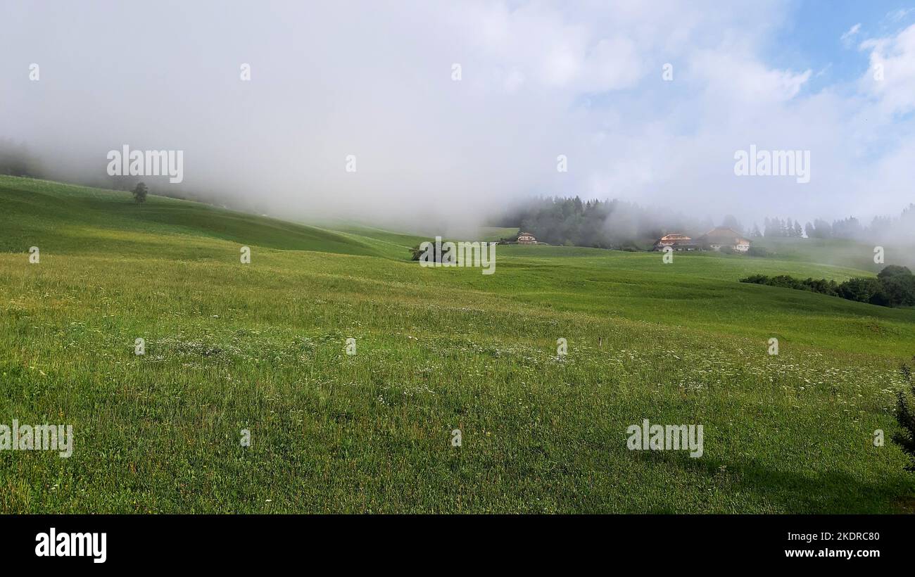 Mist suns rays hi-res stock photography and images - Alamy