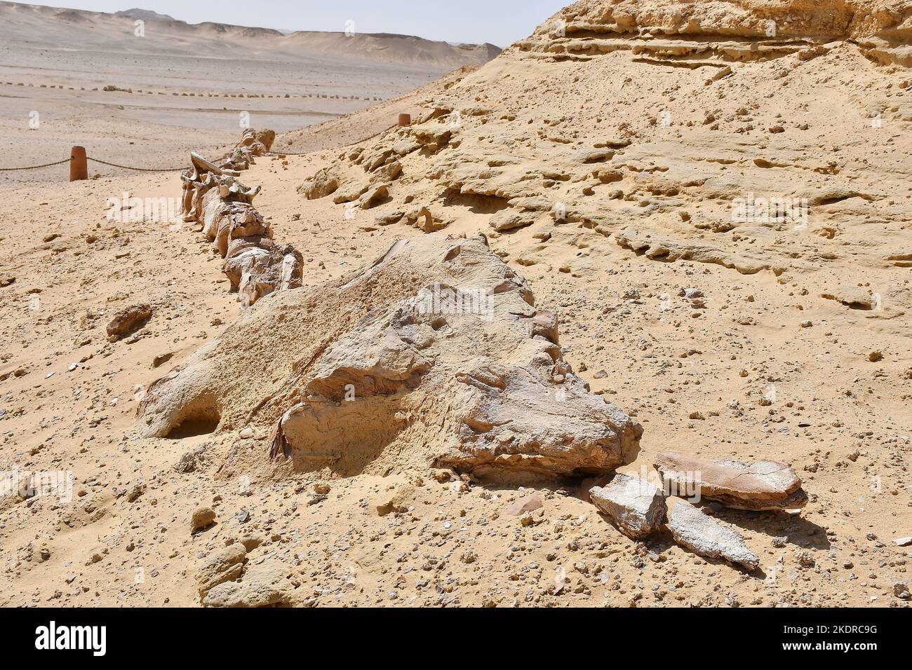 Wadi el rayan protectorate hi-res stock photography and images - Alamy