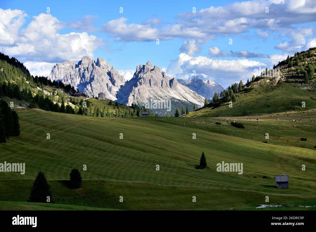 The peaks of the Cristallo group overlook the grassy meadows of the ...