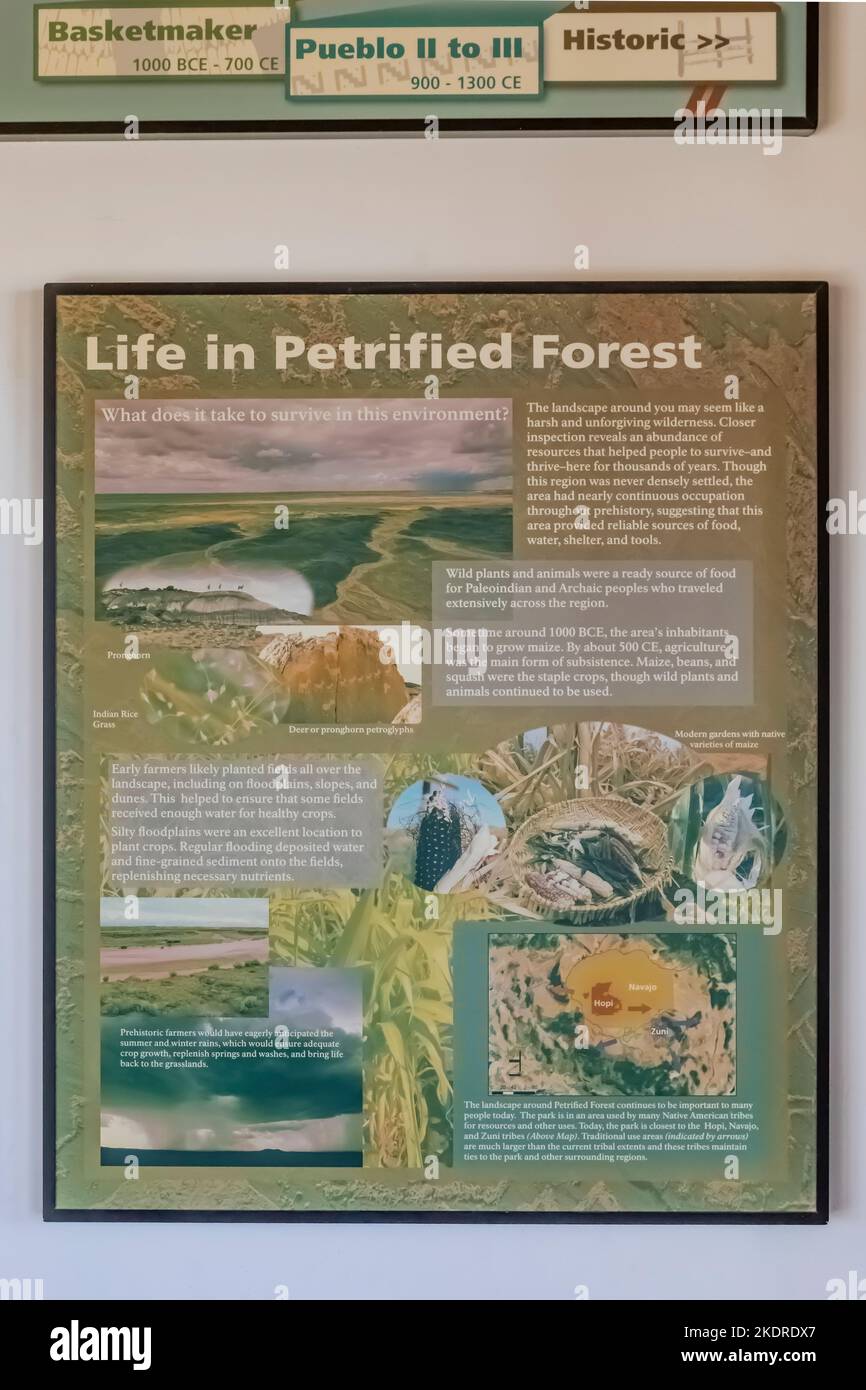 Interpretive sign about indigenous foods at archeological site of ...