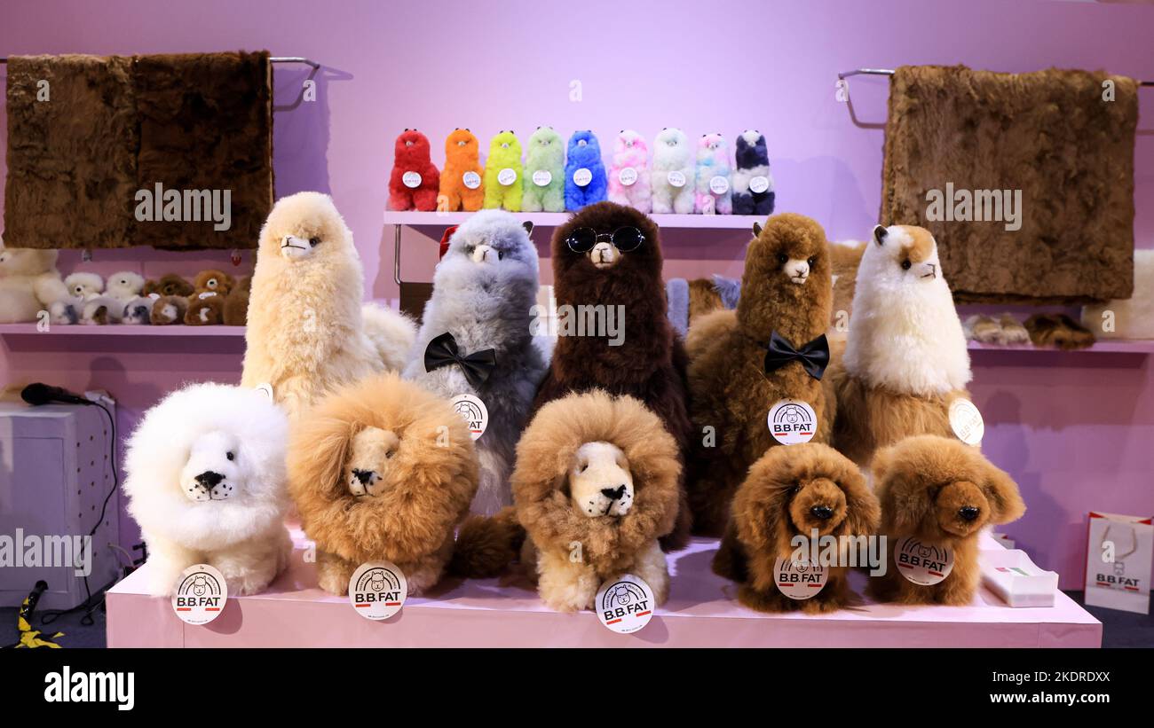 Shanghai. 6th Nov, 2022. This photo taken on Nov. 6, 2022 shows alpaca ...