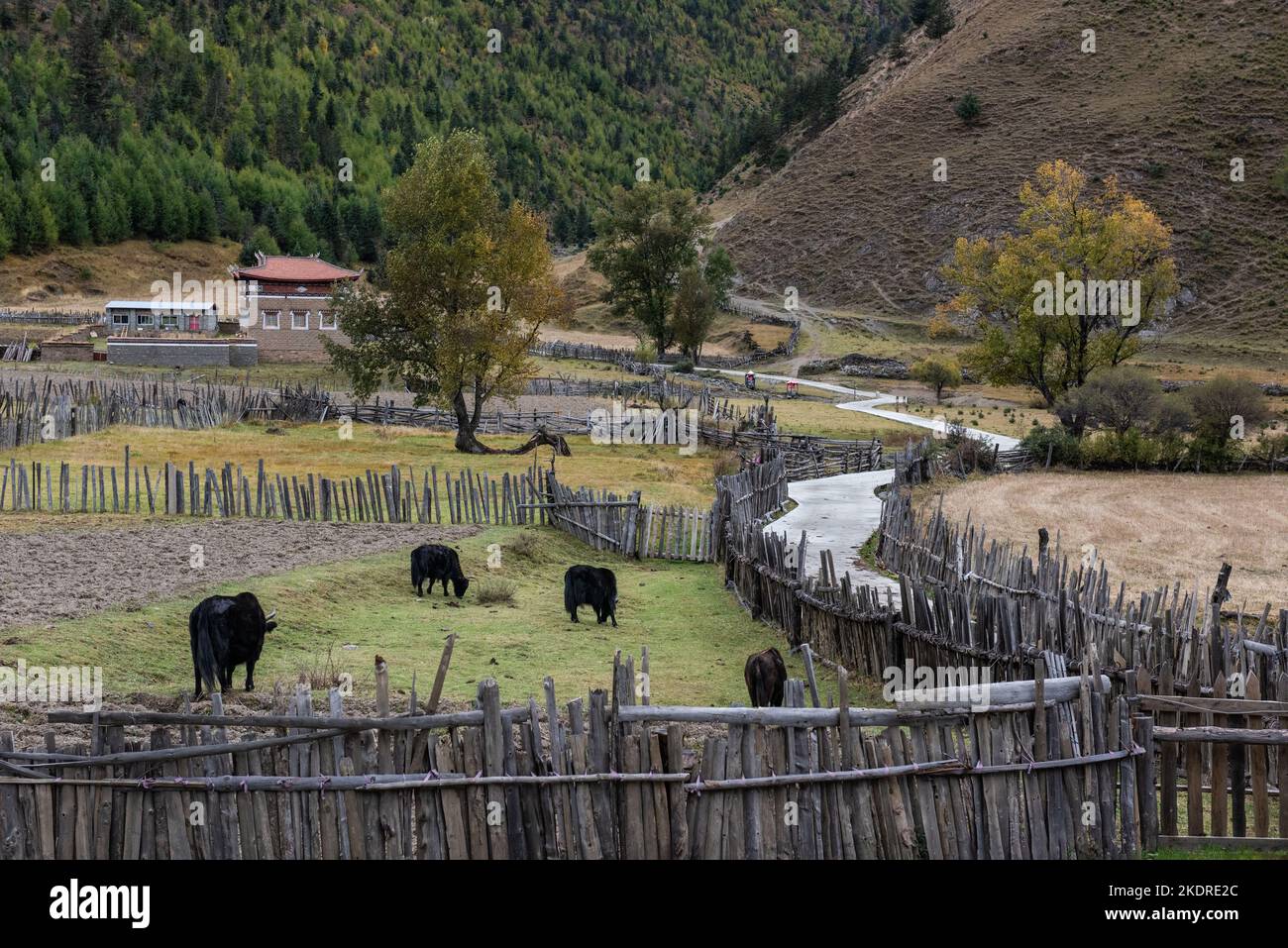 Sichuan xindu bridge town rural autumn Stock Photo - Alamy