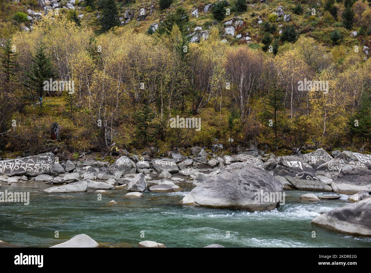 Sichuan xindu hi-res stock photography and images - Alamy