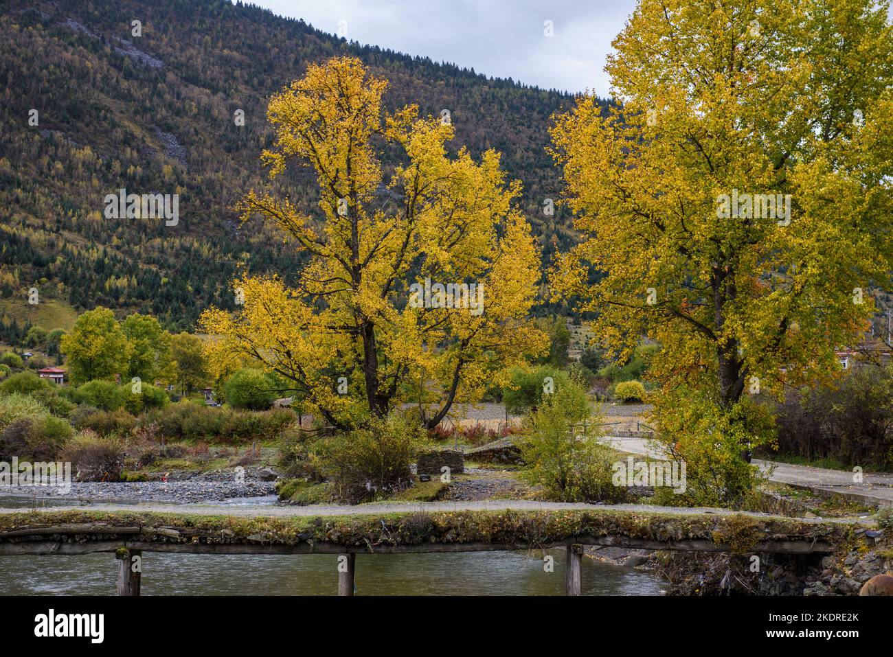 Sichuan xindu hi-res stock photography and images - Alamy