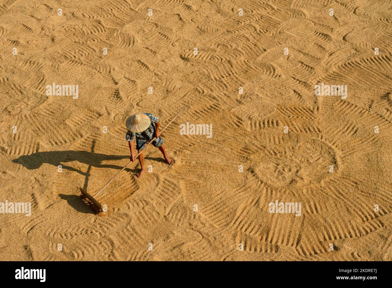 Farmers drying rice Stock Photo - Alamy