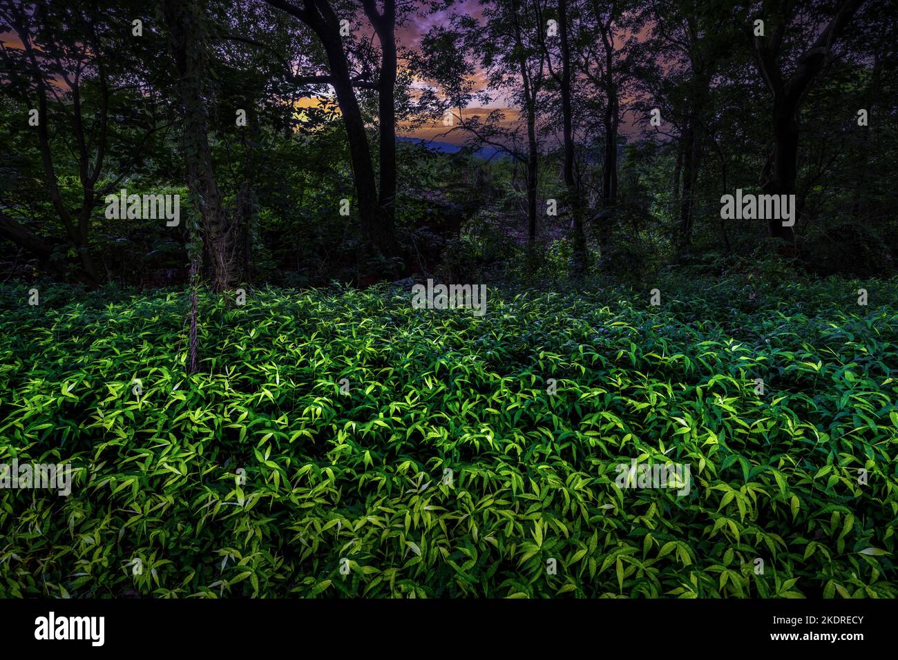 Chongqing metro three line construction site Stock Photo - Alamy