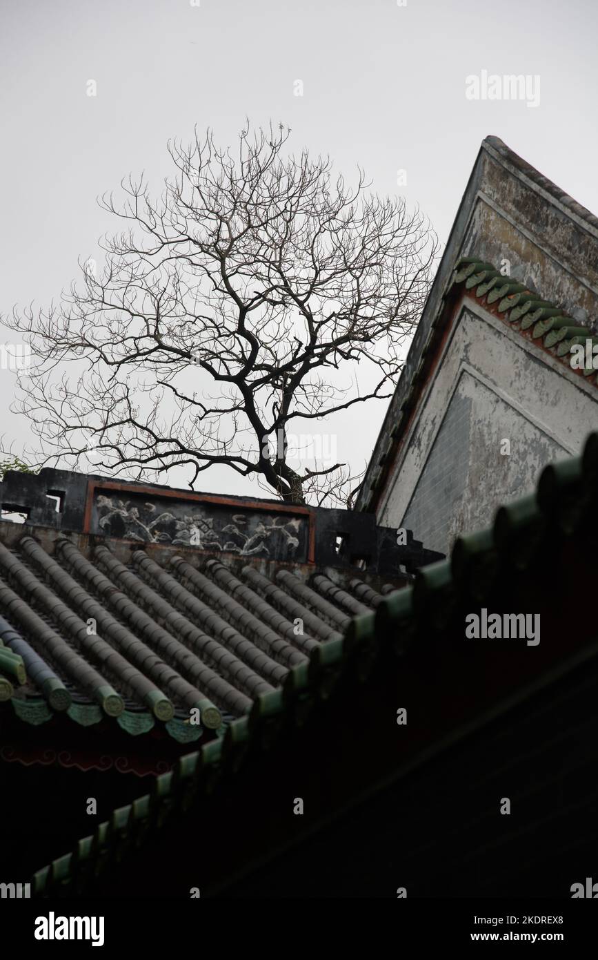 Asia guangdong guangdong province city buildings in china buildings hi ...