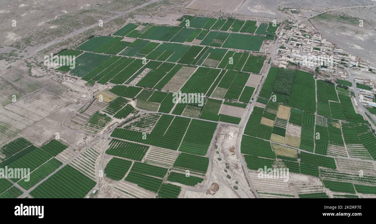 Grapes and wheat hi-res stock photography and images - Alamy