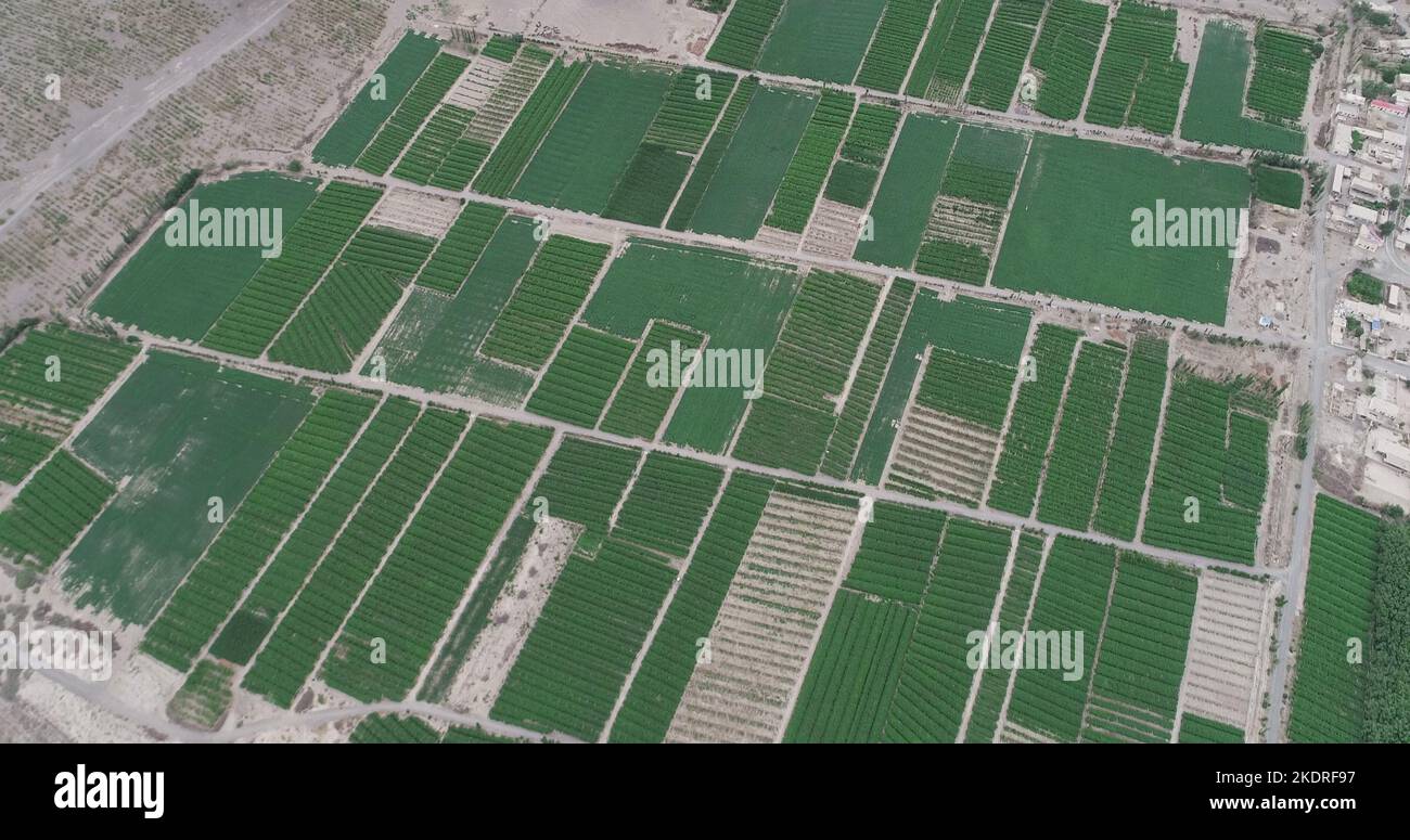 Geographical relationship and symbiosis hi-res stock photography and ...