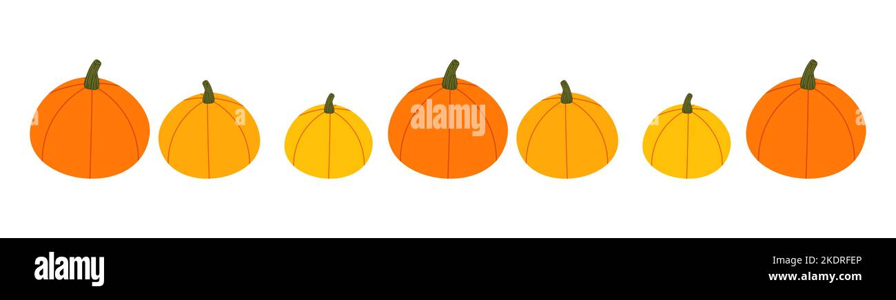 Autumn pumpkins collection border isolated on white background. Vector ...