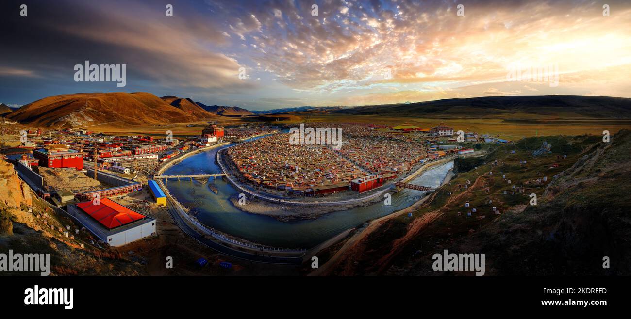 Steve temple hi-res stock photography and images - Alamy