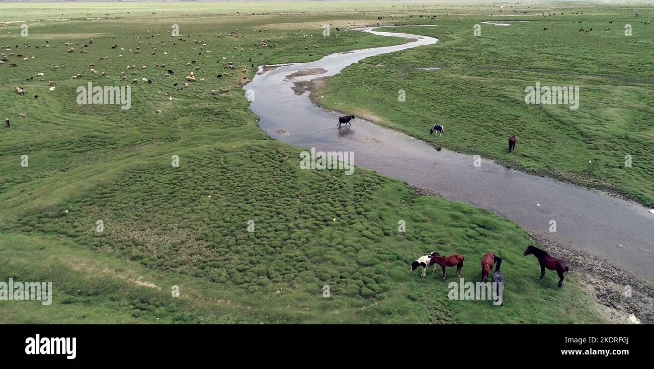 Xinjiang barkol: meander of the grasslands Stock Photo - Alamy