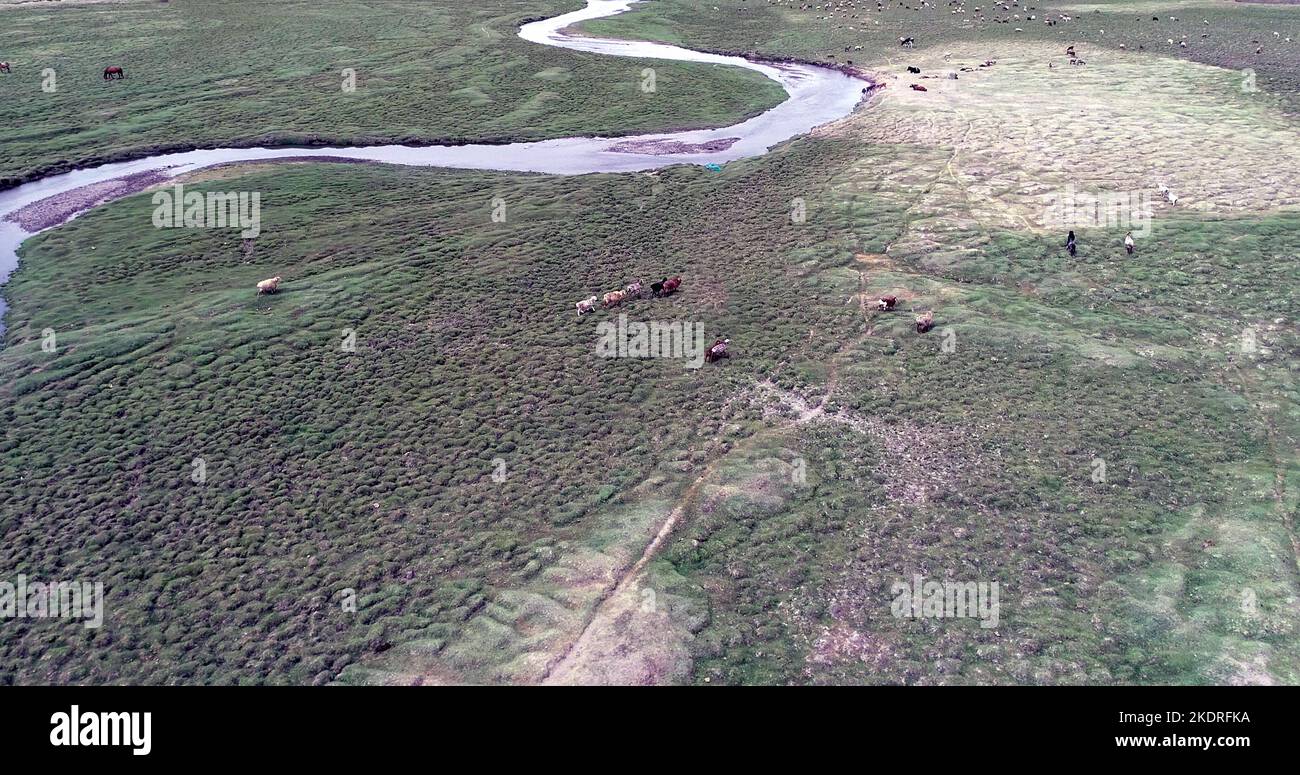 Xinjiang barkol: meander of the grasslands Stock Photo - Alamy