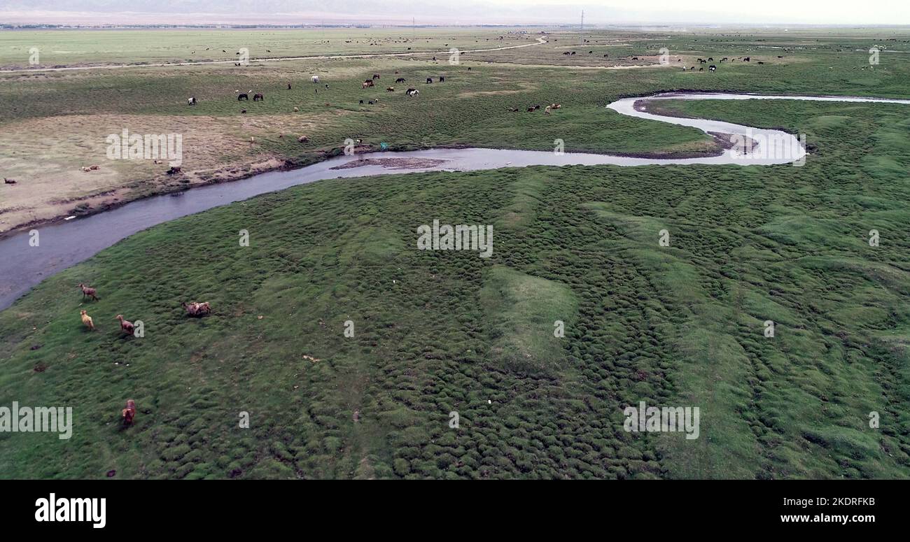 Xinjiang barkol: meander of the grasslands Stock Photo - Alamy