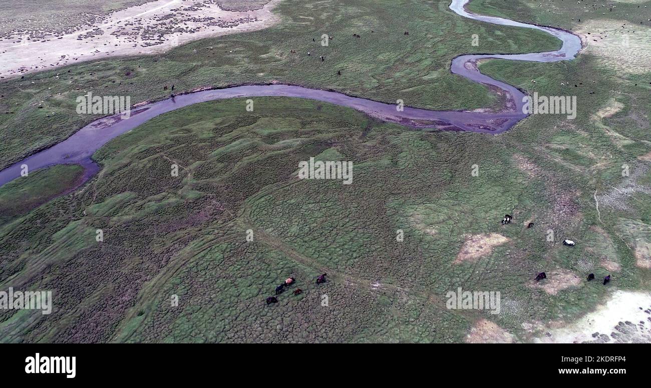 Xinjiang barkol: meander of the grasslands Stock Photo - Alamy