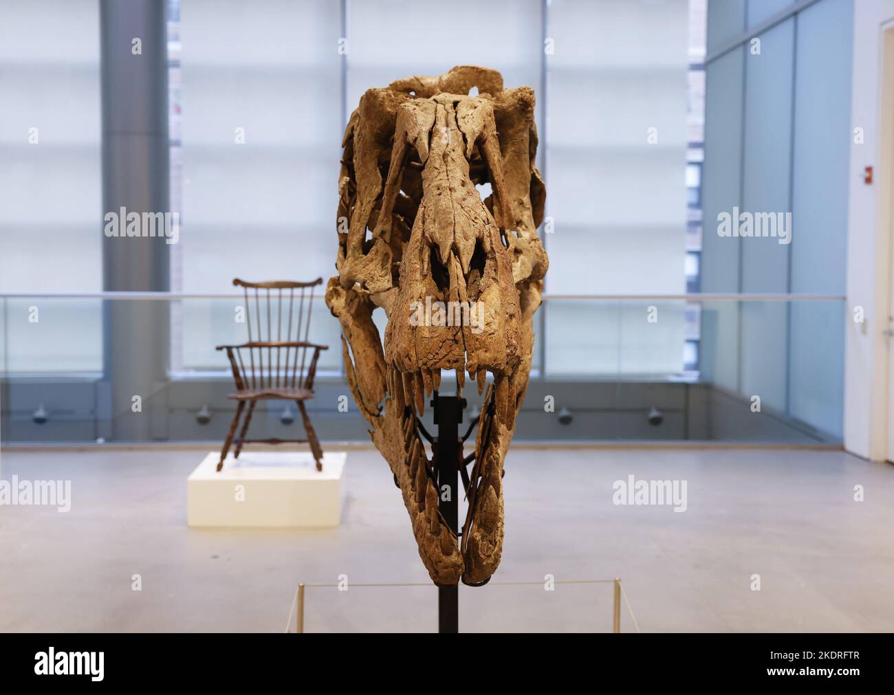 New York, United States. 07th Nov, 2022. One of the most complete ...