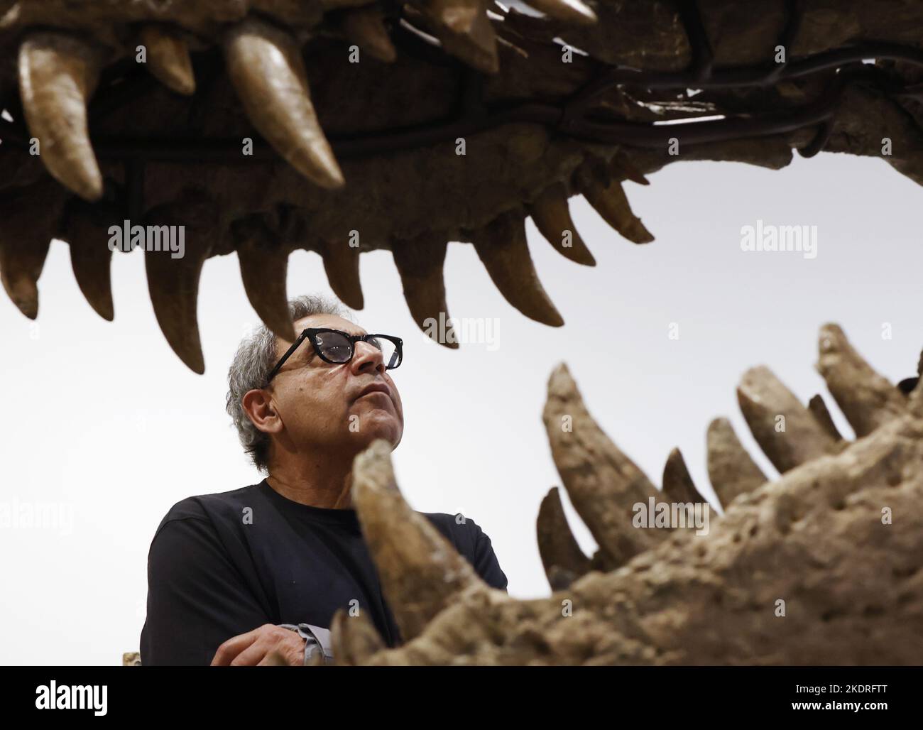 Tyrannosaurus rex new york city hi-res stock photography and images - Alamy