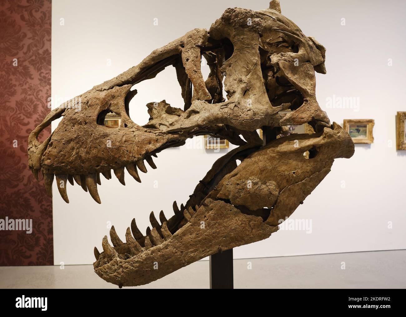 New York, United States. 07th Nov, 2022. One of the most complete ...