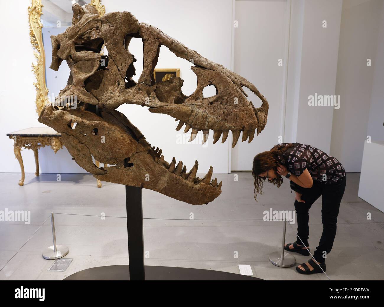 New York, United States. 07th Nov, 2022. One of the most complete ...