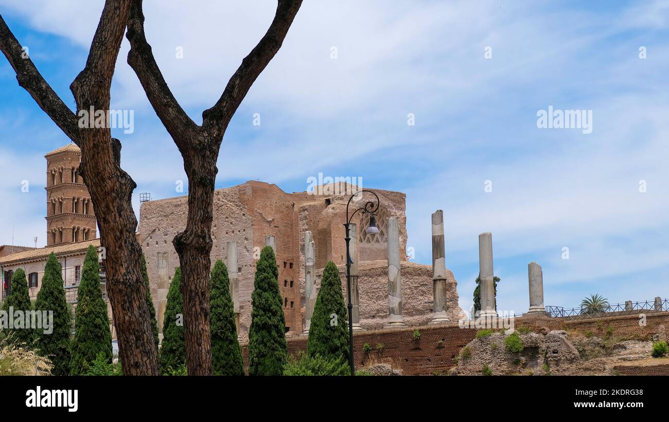 Roman ruins and umbrella Pine trees in Italy Stock Photo - Alamy