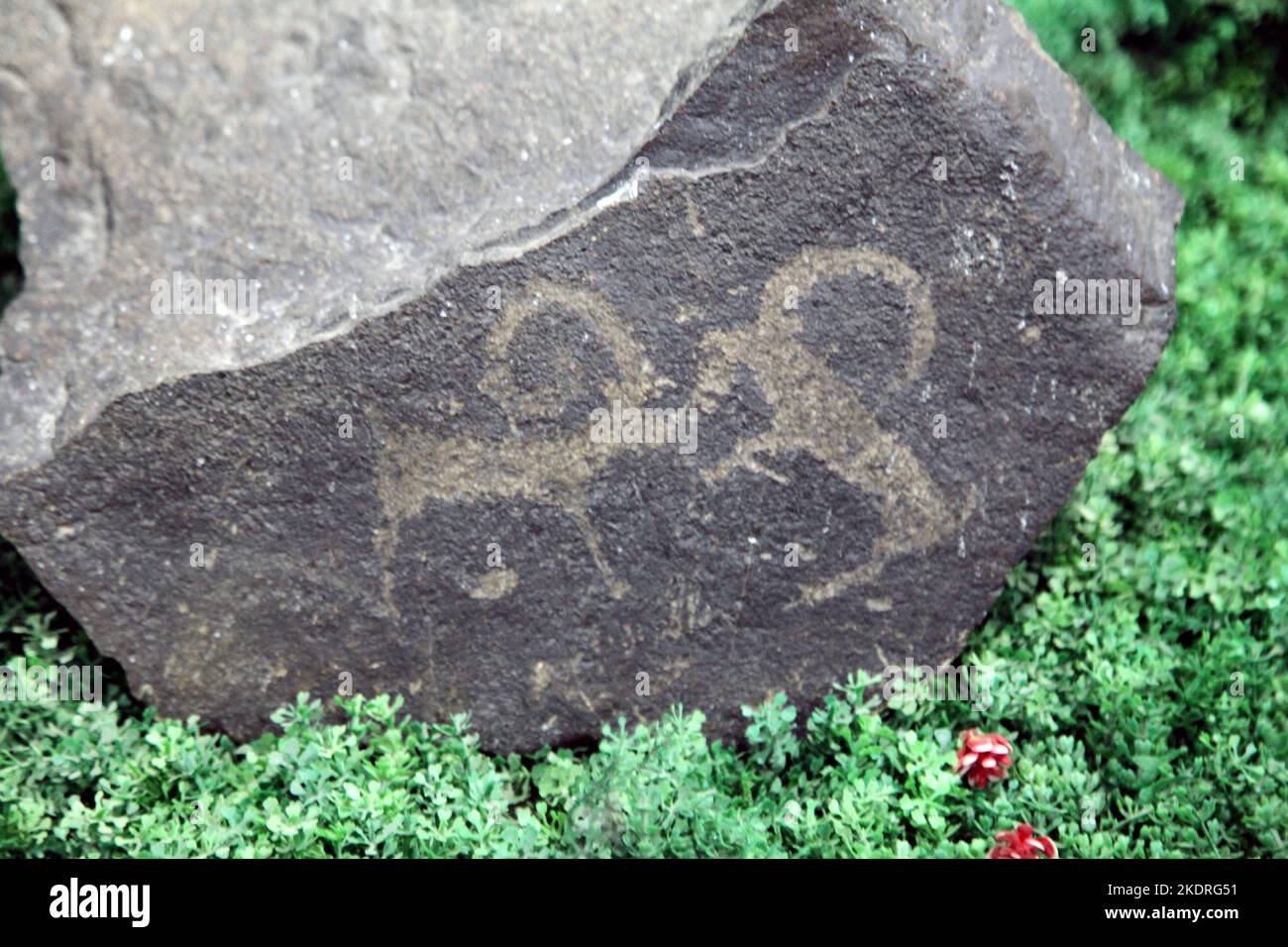 Xinjiang barkol: the ruins of ancient grassland culture -- eight wall ...