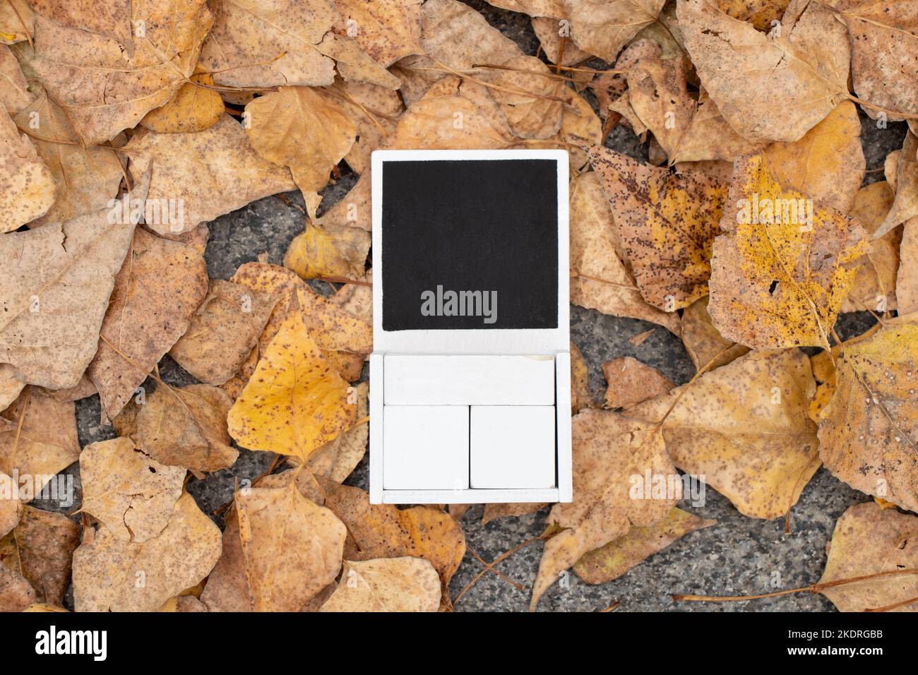 A wooden calendar with cubes lies on yellow autumn leaves in the forest ...