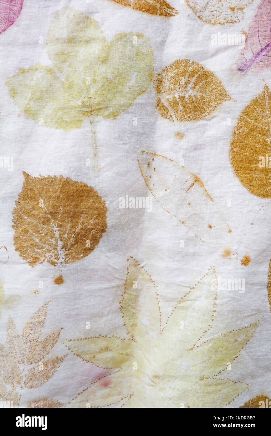 eco printing. Fragment of hand-dyed fabric using eco-print technique ...