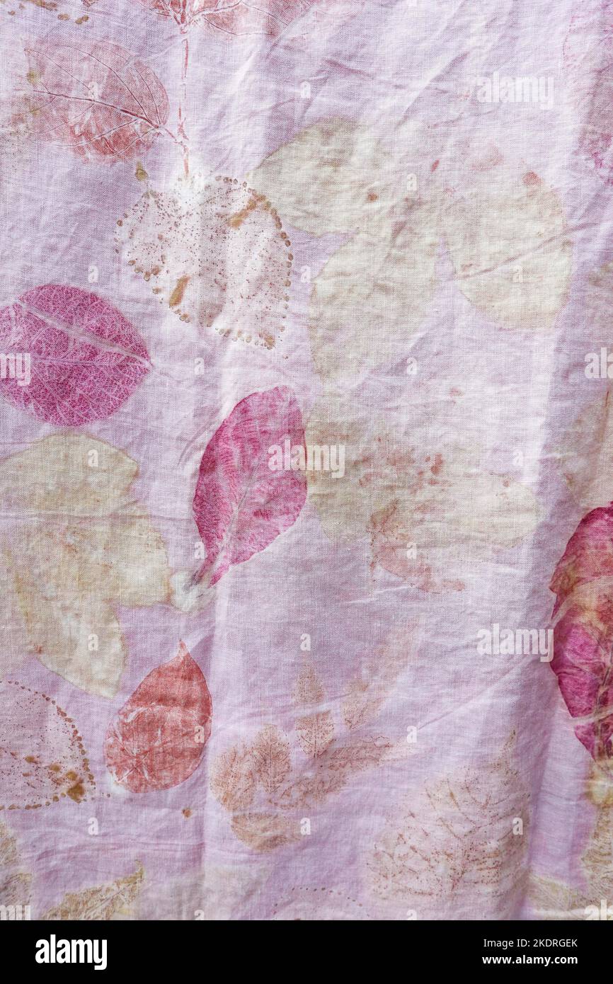 eco printing. Fragment of hand-dyed fabric using eco-print technique ...