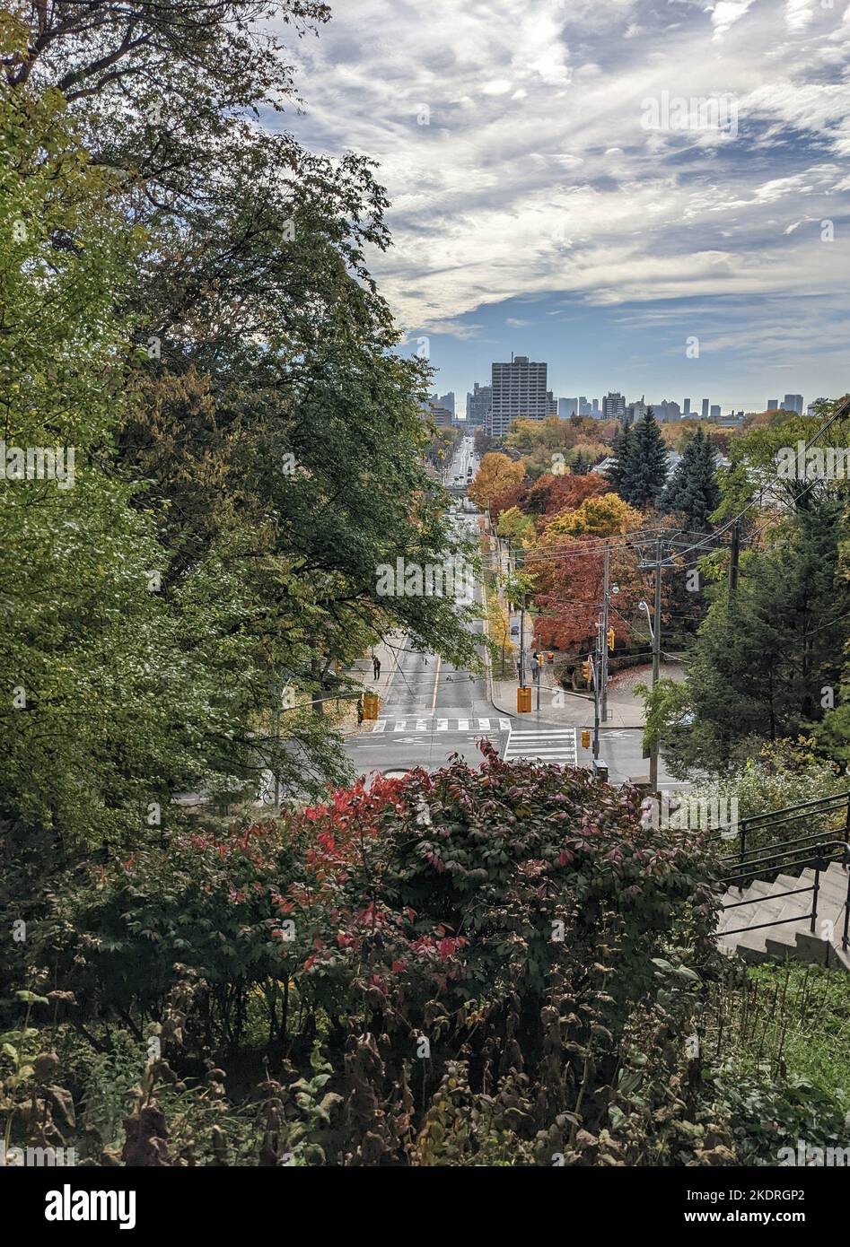 Fall trees in downtown toronto hi-res stock photography and images - Alamy